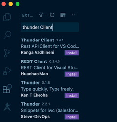 How to use Thunder Client for API testing? | Katarzyna Kmiotek